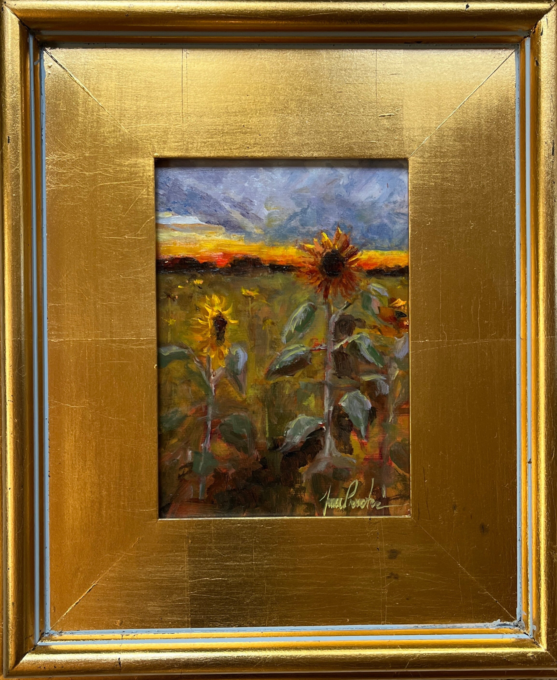 Anne Proctor – Hannah Crenshaw